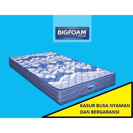Jual Kasur busa BIG FOAM uk 100 x 200 dan 120 x 200 kasur busa single ...