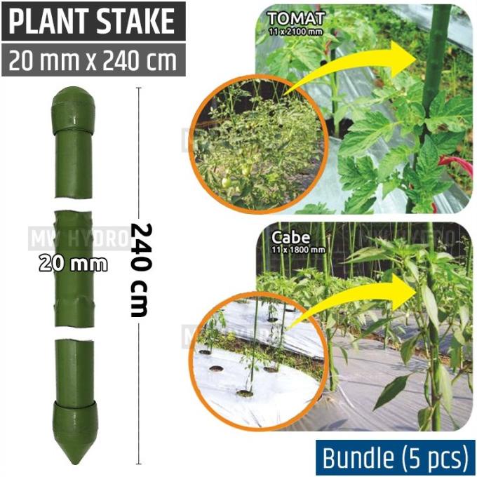 Jual TERJAMIN 5 pcs Plant Stake / Ajir Tanaman - TAKIRON - 20 mm x 240 ...