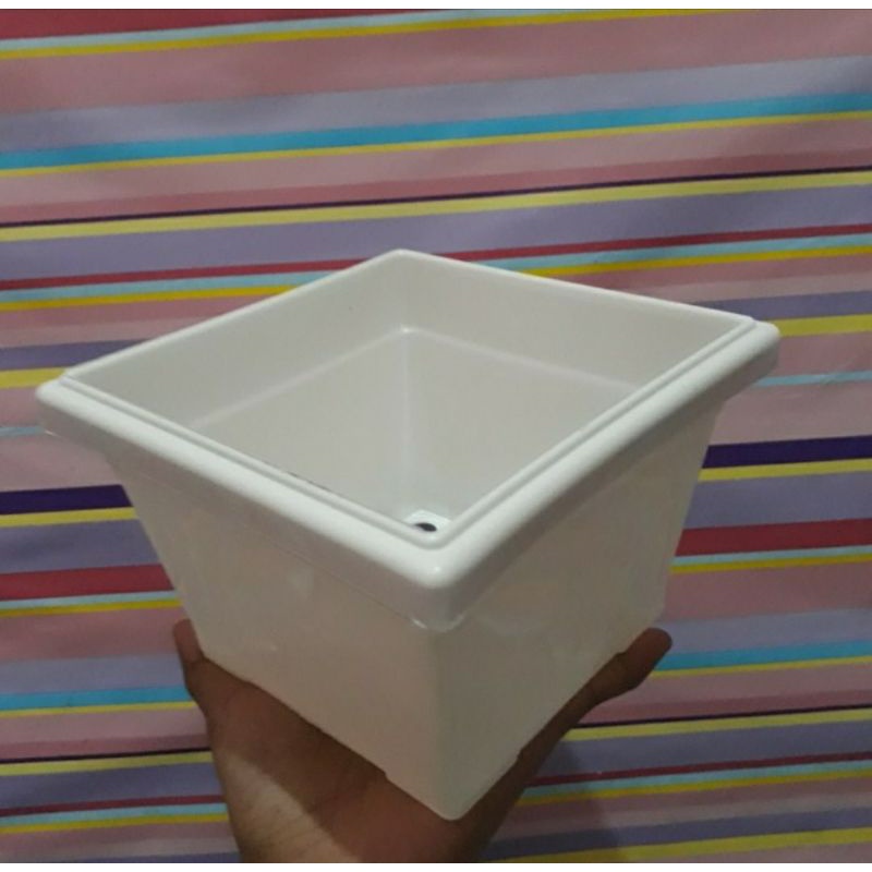 Jual Pot kotak no 20, pot kotak 14 cm, pot adenium, bonsai, kaktus ...