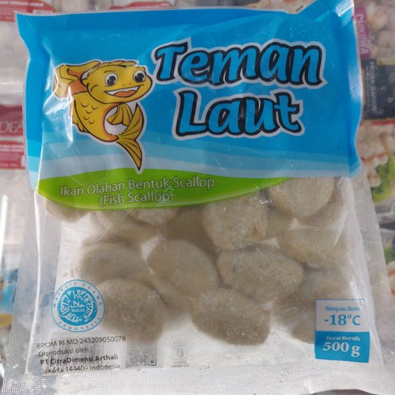 Jual Teman laut scallop 500g | Shopee Indonesia