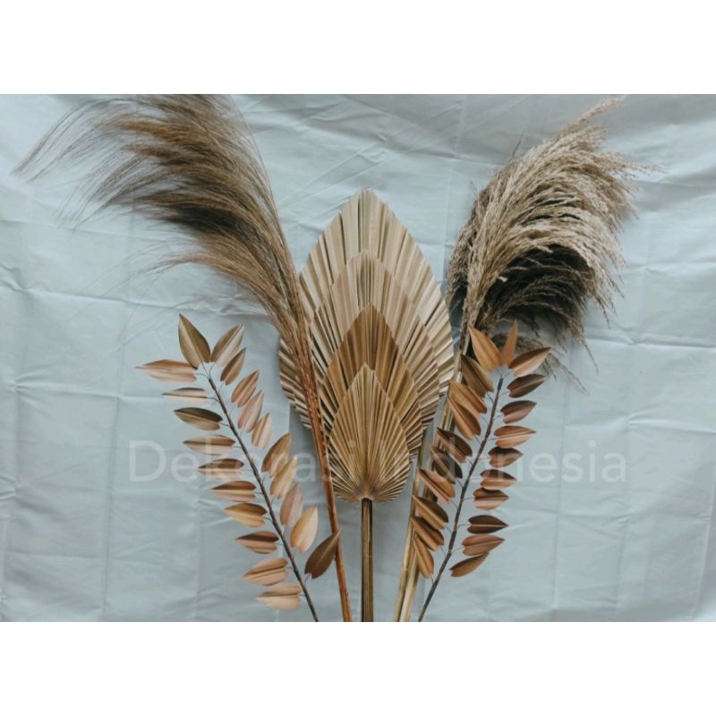 Jual 1 Set Bunga Kering/Daun Palem Kering/Pampas Kering/Rayung | Shopee ...