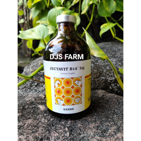 Jual Jectavit b12 inj sanbe vitamin b12 obat hewan untuk ternak sapi ...