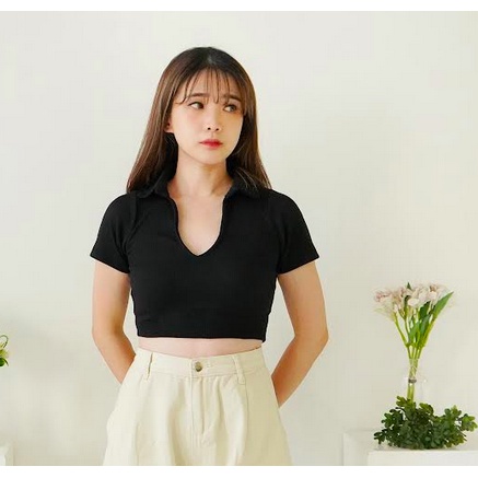 Jual Crop Top Knit Baju Atasan Wanita Kaos Croptop V Neck 076 | Shopee Indonesia