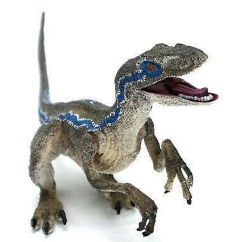 Jual Jurassic World Velociraptor Blue Mainan Edukasi Figure Dinosaurus ...