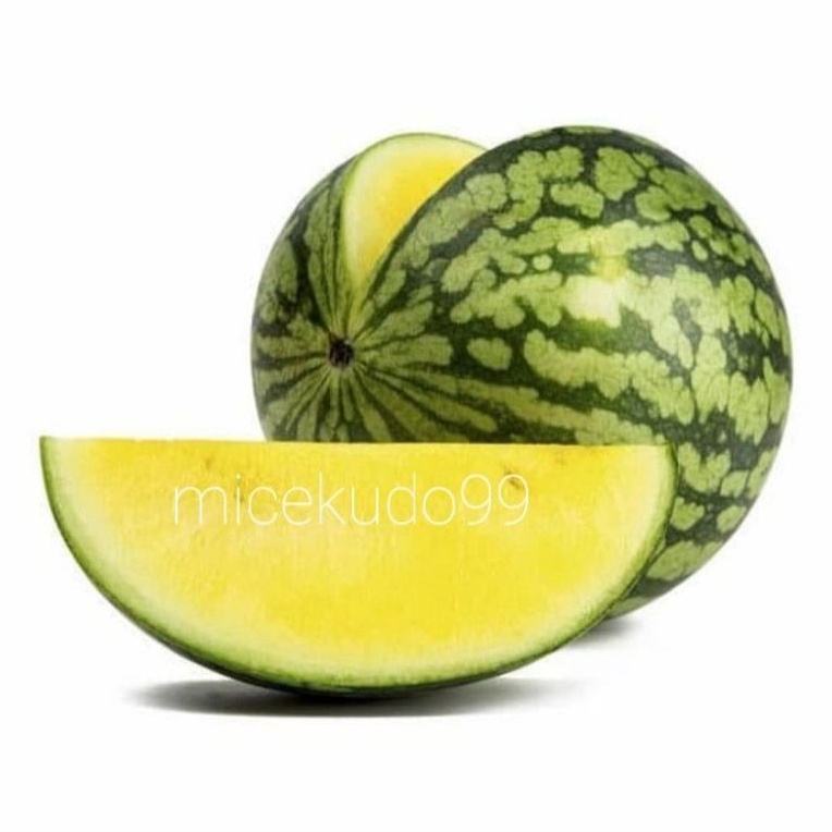 Jual SEMANGKA KUNING NON BIJI 1 PCS SEGAR FRESH YELLOW WATERMELON ...