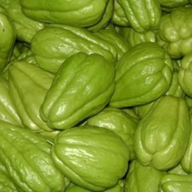 Jual labu Siam/1kg | Shopee Indonesia