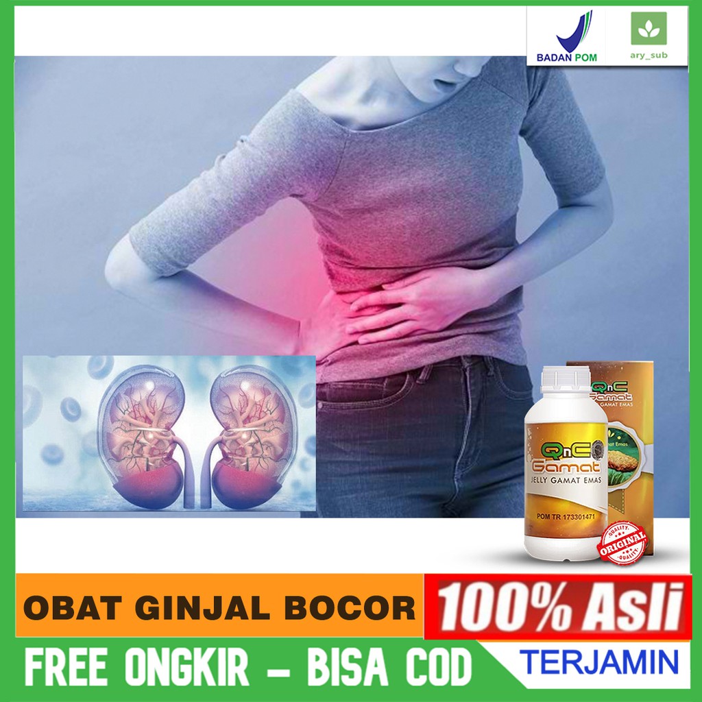 Jual Obat Ginjal Bocor Akut, Kronis - Penurun Kreatinin Tinggi ...