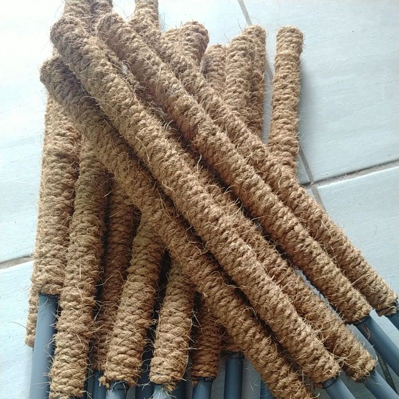 Jual turus penyangga tanaman 100cm | Shopee Indonesia