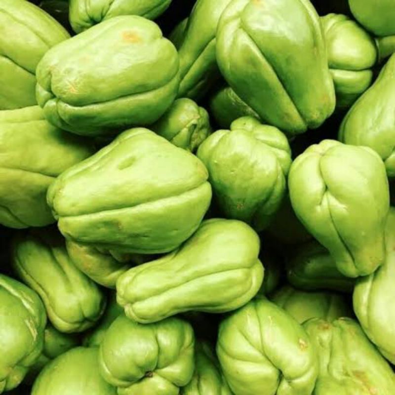 Jual LABU SIAM/BABY LABU SIAM/500gr | Shopee Indonesia