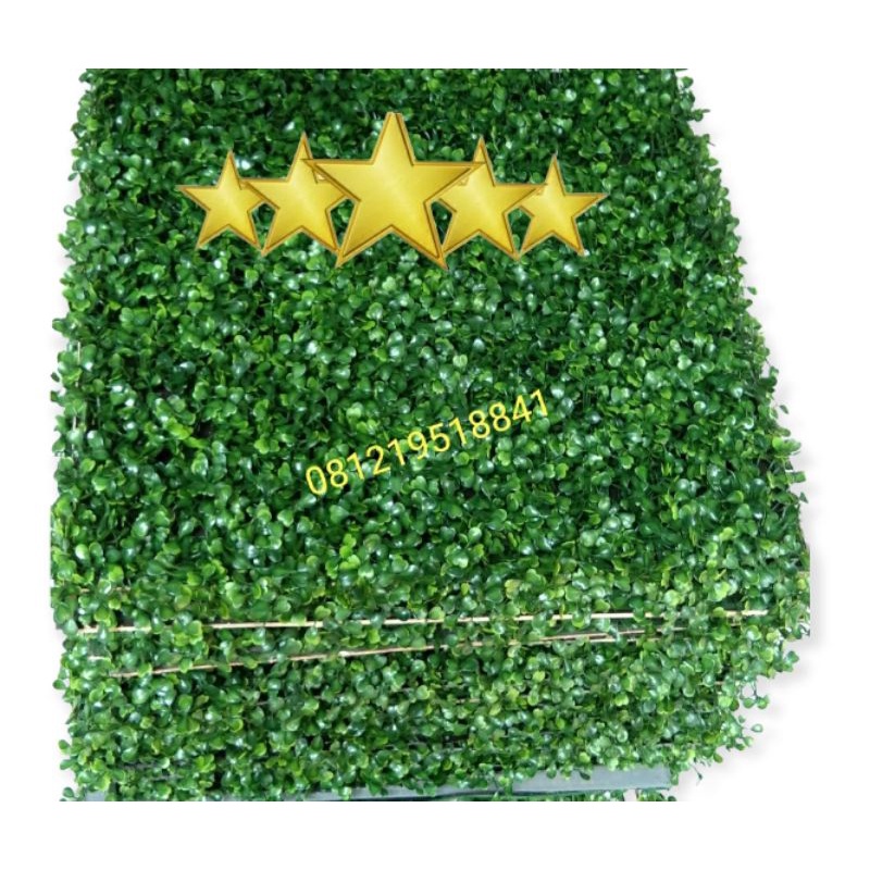 Jual Tanaman Rambat Dolar Sintetis Premiun Ukuran 50 x 50 Cm Buat ...