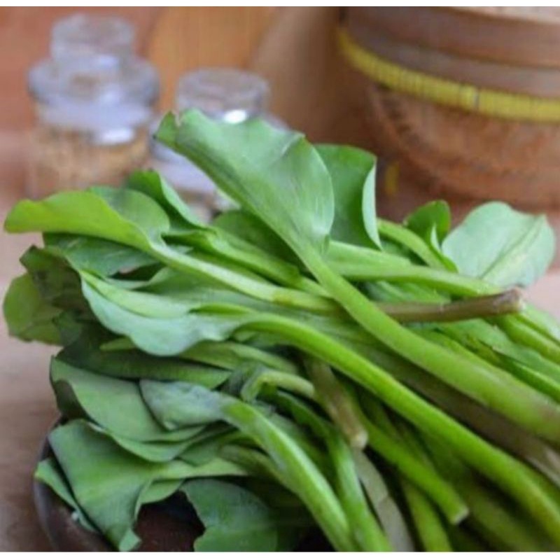 Jual Sayur genjer - sayur gendot sayur orang kampung untuk 1 ikat ...