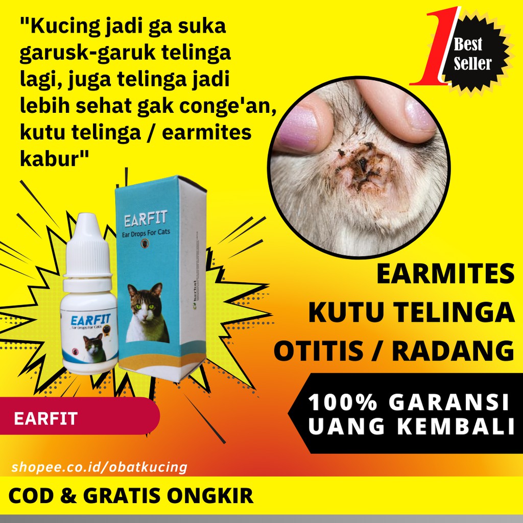Jual EARFIT Obat Tetes Telinga Kucing Earmites Kutu Kuping Conge Ampuh ...