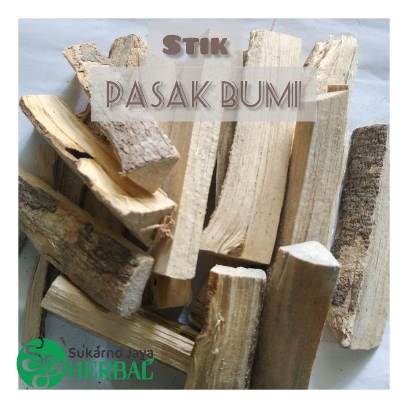 Jual Pasak Bumi bubuk 500gr | Shopee Indonesia