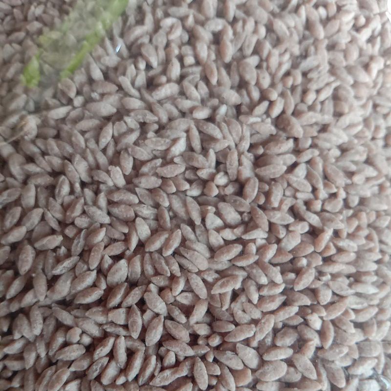 Jual Brasia Beras Sagu 250gr | Shopee Indonesia