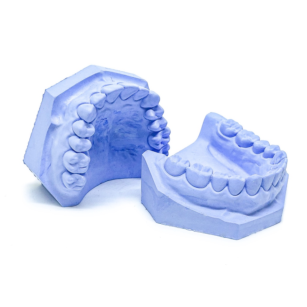 Jual Model Gigi Gips Biru | Shopee Indonesia