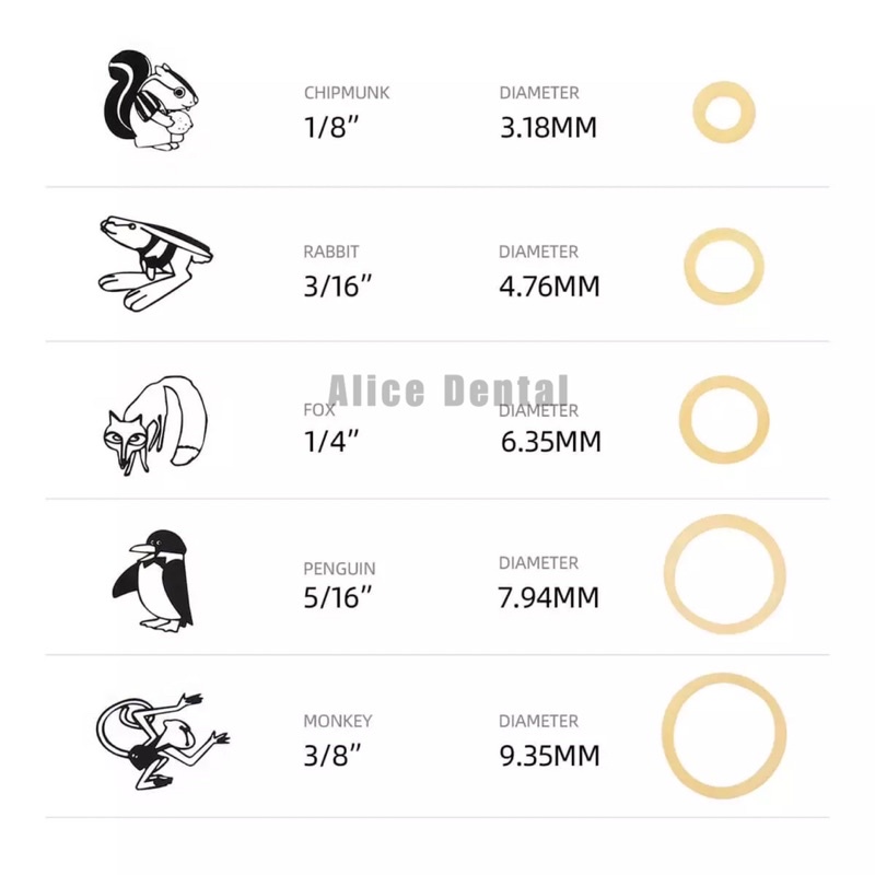 Jual Karet elastik gigi ortho behel dental rubber band elastis karet ...