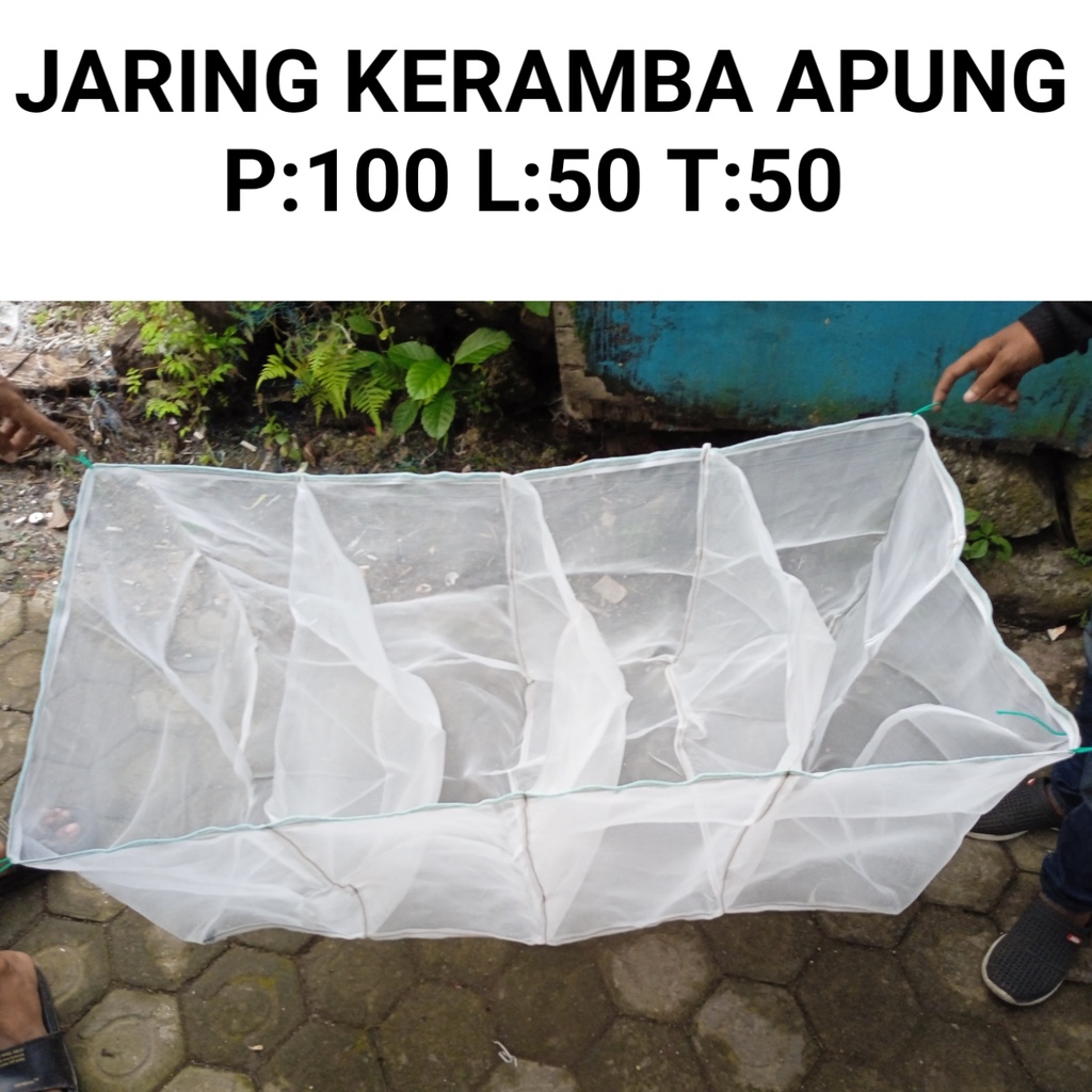 Jual jaring keramba apung ikan hapa jaring 1m 4 petak | Shopee Indonesia Jual jaring keramba apung ikan hapa jaring 1m 4 petak | Shopee Indonesia