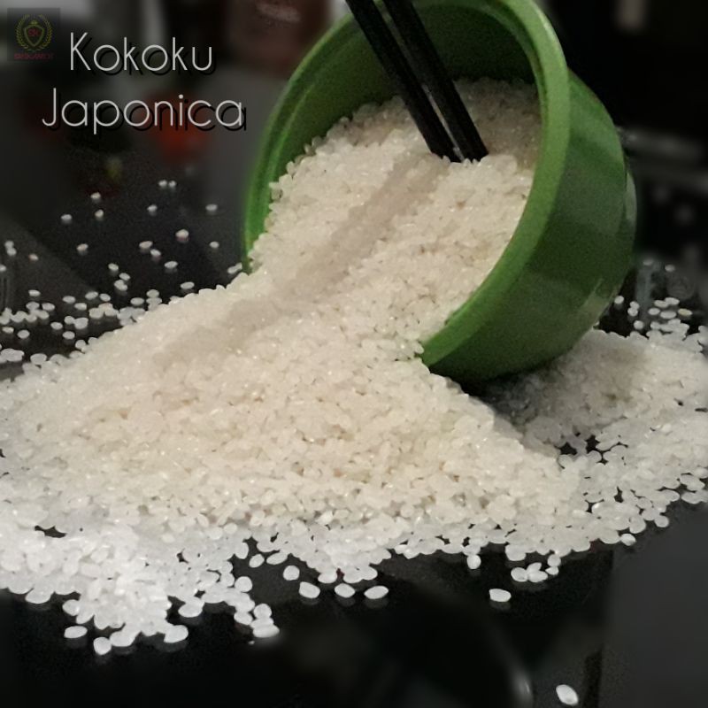Jual Beras jepang/Japonica KoKoKu 1 KG repack | Shopee Indonesia