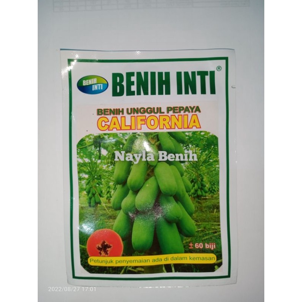 Jual Benih Unggul Pepaya CALIFORNIA isi 60 butir - Benih Inti ...