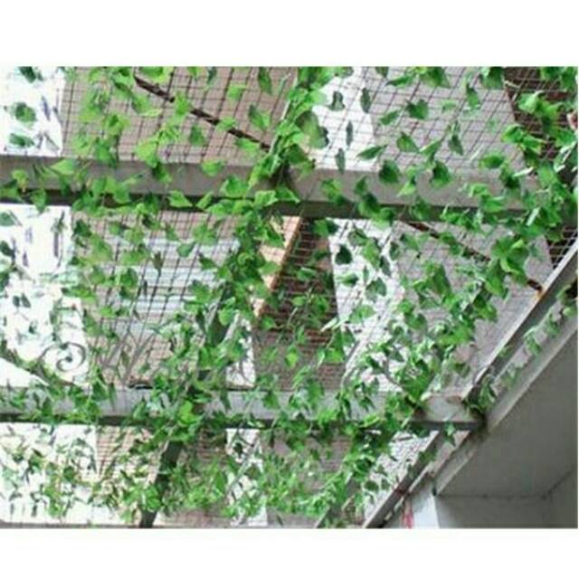 Jual DAUN RAMBAT PLASTIK IMITASI ANGGUR D15/7/120 B8308 ARTIFICIAL ...