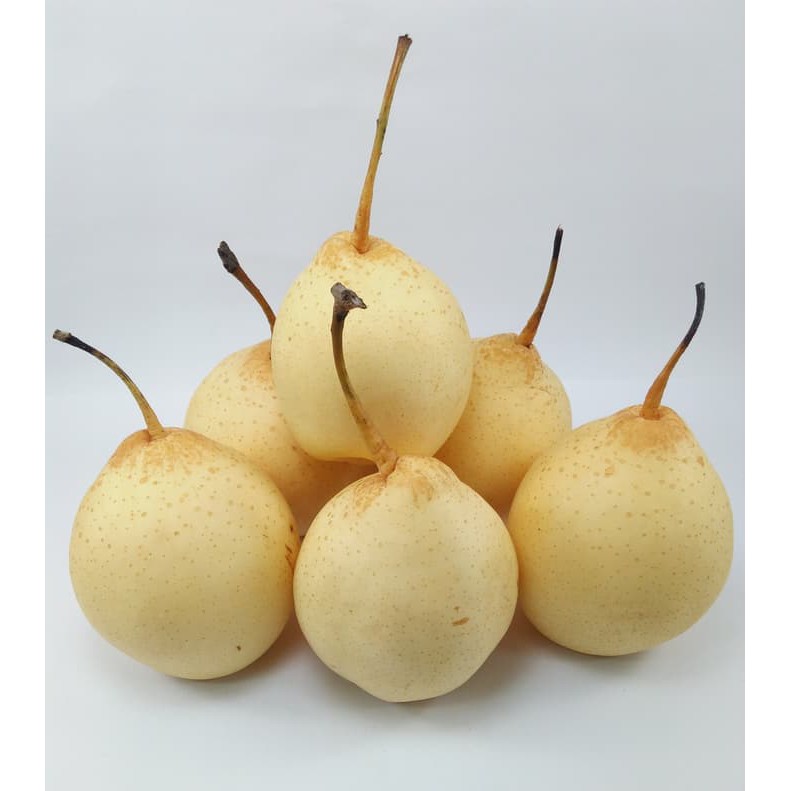 Jual Pir Ya Lie 1 kg | Shopee Indonesia