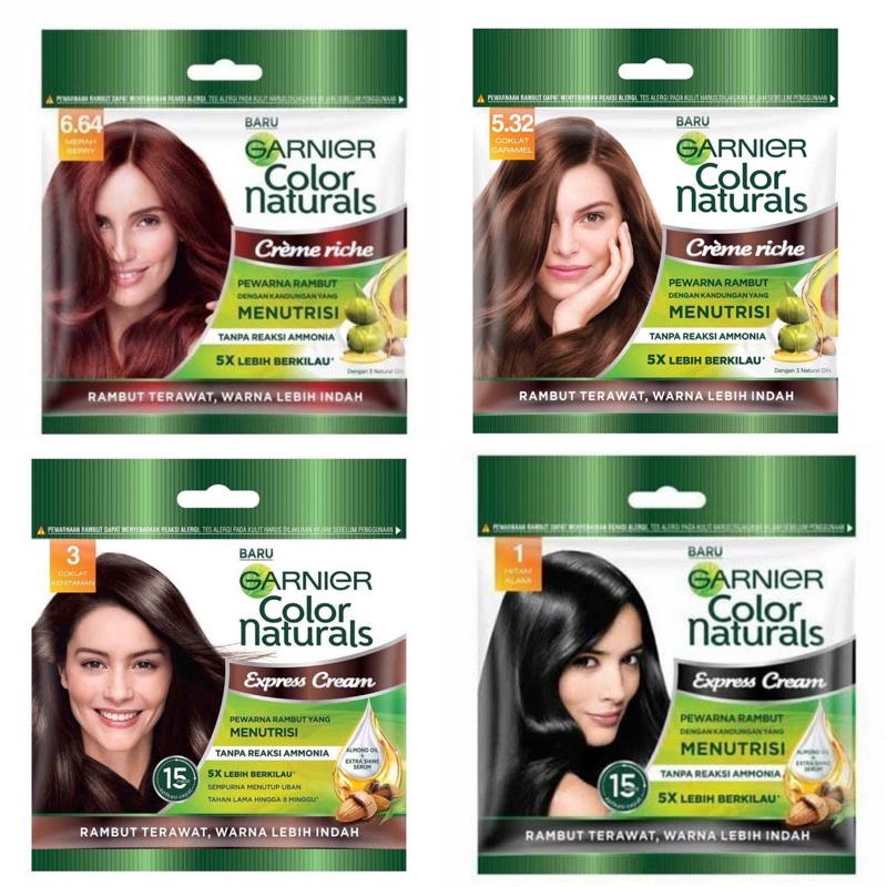 Jual Garnier Color Naturals Hair Color Crème Riche 20ml + 20gram ...