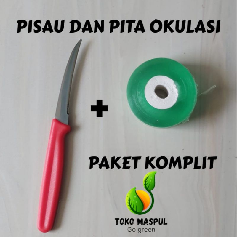 Jual Paket grafting tool tape isolasi dan pisau okulasi tanaman ...