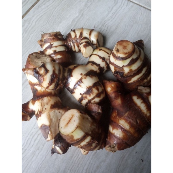 Jual umbi ganyol putih 1kg | Shopee Indonesia