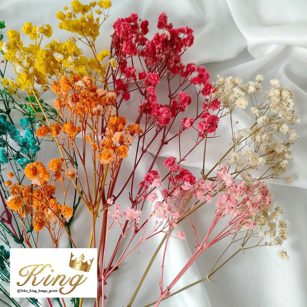 Jual Dried Flower Preserved Real Touch Premium Baby's Breath Gypsophila ...