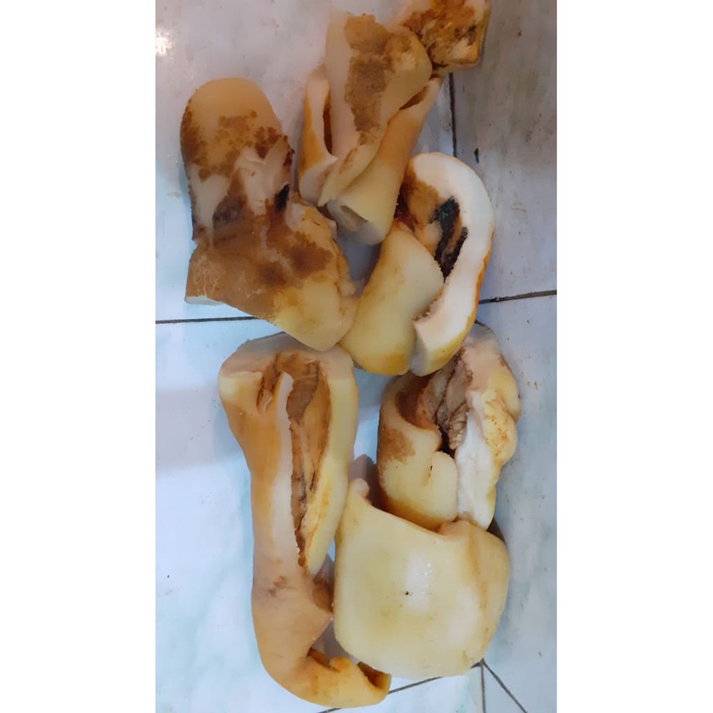 Jual Kikil Sapi Tebal Sudah Rebus Bersih (Thicker Boiled Beef Skin) _ 1 ...