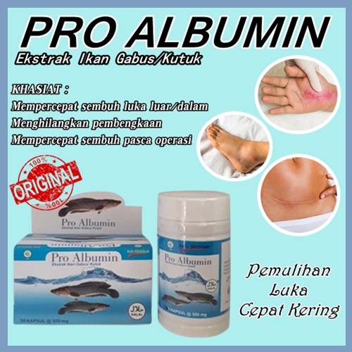 Jual kapsul ikan gabus original Pro Albumin obat herbal pengering bekas luka operasi dan ...