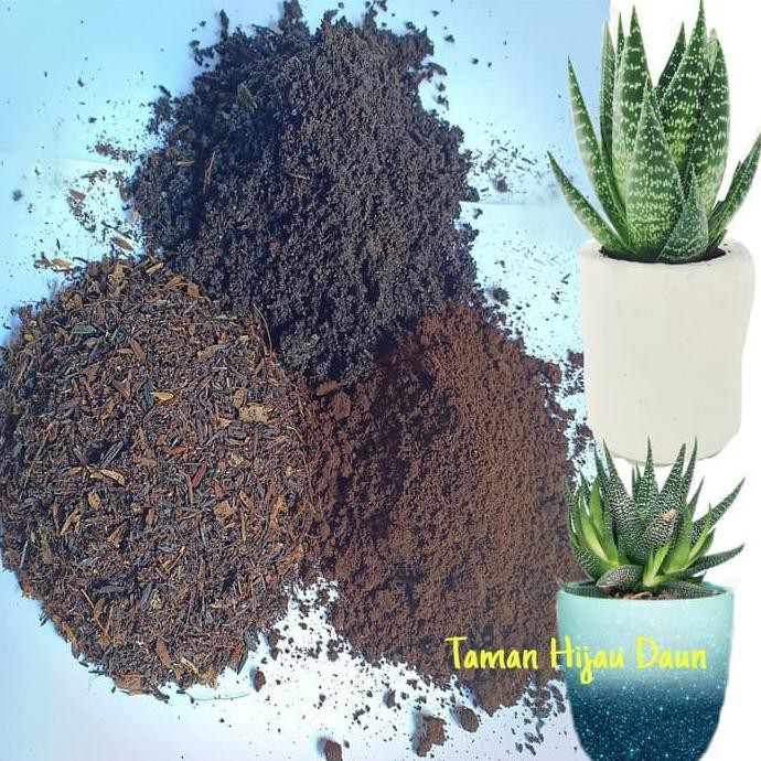 Jual Paket Bercocok Tanam Media Tanam Plus Pot Dan Benih Tanaman ...