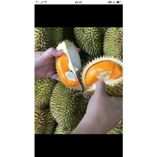 Jual Buah Lay Terlengkap & Harga Terbaru September 2024 | Shopee Indonesia