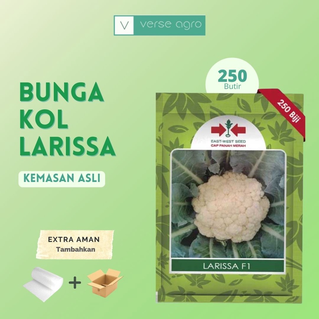 Jual Benih bibit bunga kol larissa f1 250 butir cap panah merah kemasan ...
