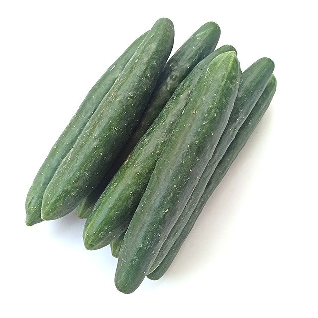 Jual KYURI segar Timun Hijau - Timun Jepang Timun Burger, timun salad ...