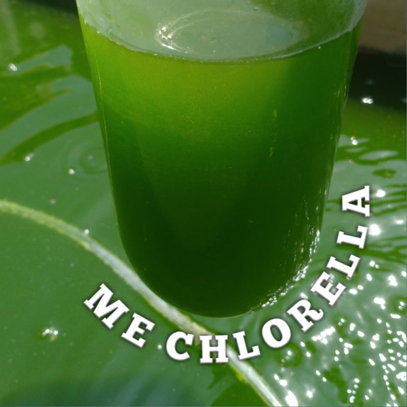 Jual Starter Chlorella Botol Besar 1500ml | Shopee Indonesia