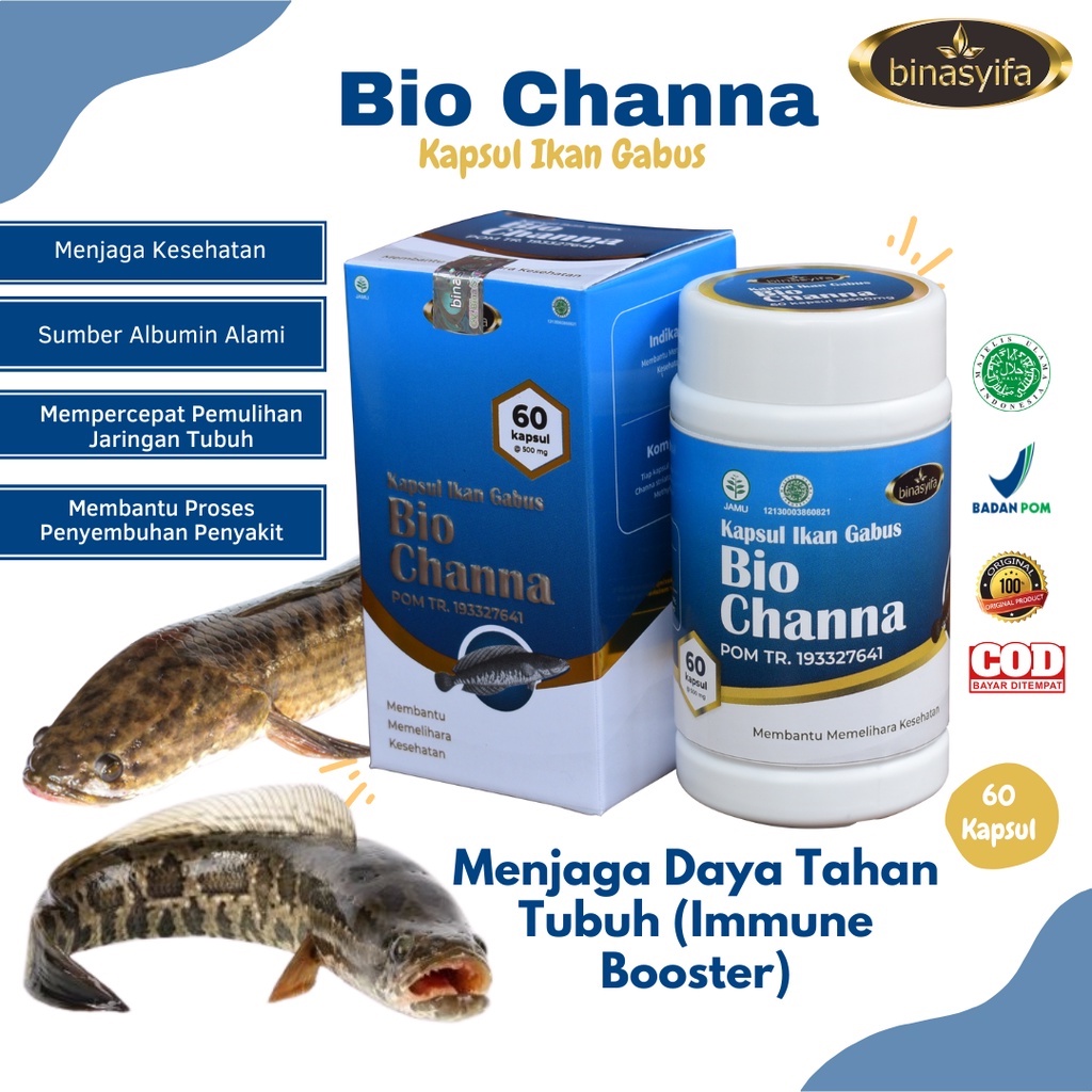 Jual Bio Channa Immune Booster Obat Daya Tahan Tubuh, Mengeringkan Luka ...