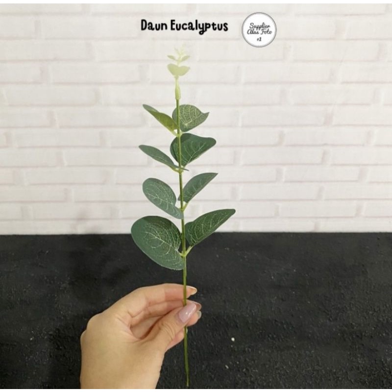 Jual daun Eucalyptus palsu / artificial flower / props foto | Shopee ...
