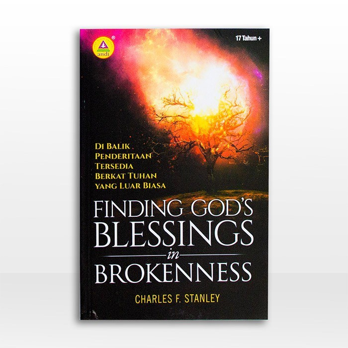 Jual Finding Gods Blessing in Brokenness : Buku Indonesia | Shopee ...