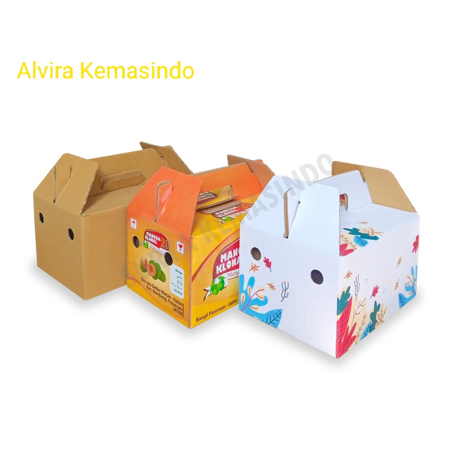 Jual Box jinjing 27x18x15 cm | Shopee Indonesia