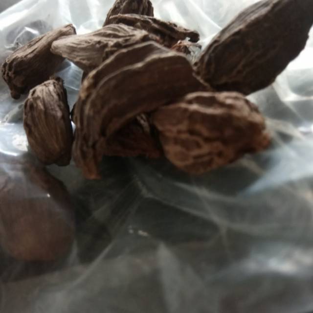 Jual Black ilaichi atau kapulaga hitam import india | Shopee Indonesia