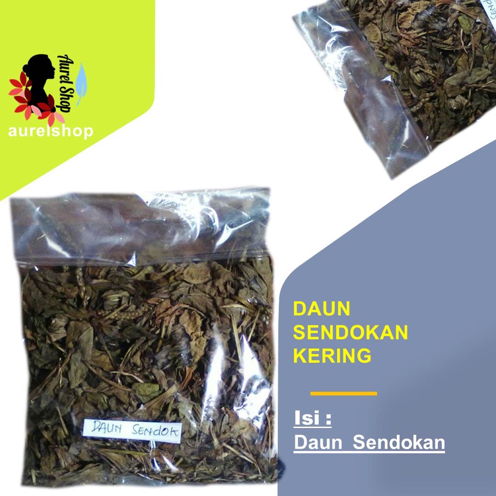 Jual Daun Sendok Sendokan Kering 1 kg Ki Urat | Shopee Indonesia