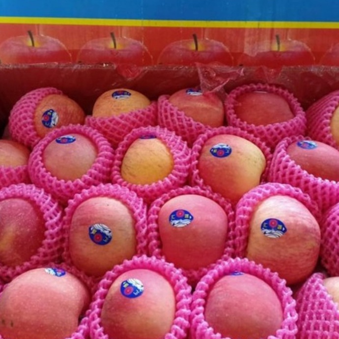 Jual Apel Fuji 1 Dus isi 88,105,125 pcs +-17kg | Shopee Indonesia