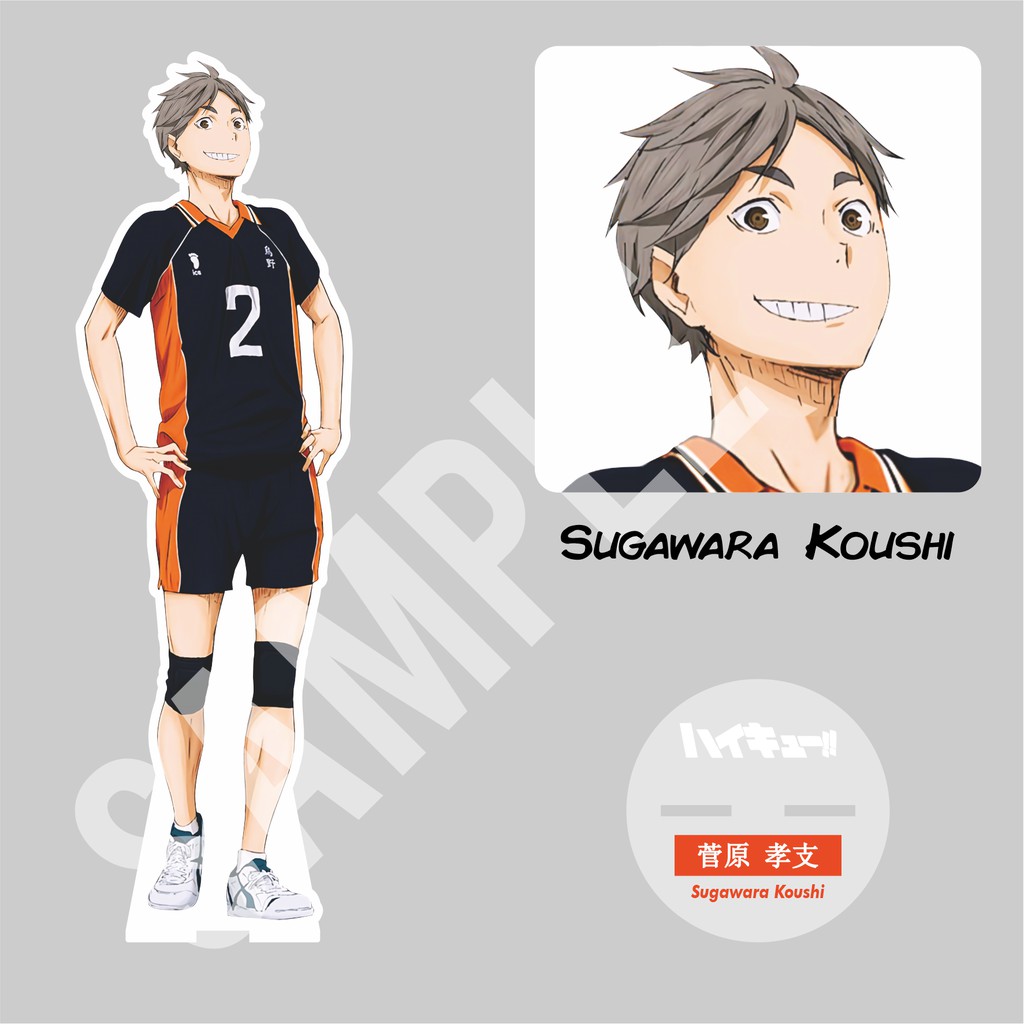 Jual Standee Akrilik Haikyuu Action Figure Karasuno CUSTOM | Shopee ...
