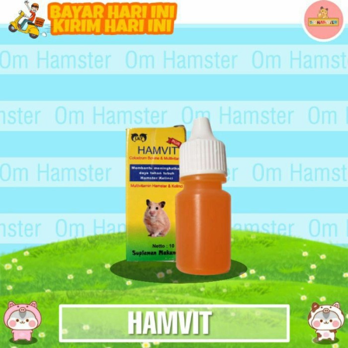 Jual Hamster-Vitamin-Obat- Vitamin Hamster Hamvit -Obat-Vitamin-Hamster ...