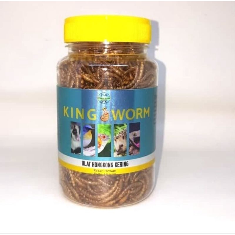 Jual ulat hongkong kering king worm pakan ikan predator praktis ...