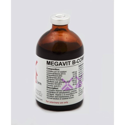 Jual MEGAVIT B COMPLEX + VITAMIN C INJECT 100ml Vitamin Multivitamin ...