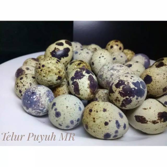 Jual TERMURAH TELUR PUYUH MATANG 250 gram | Shopee Indonesia