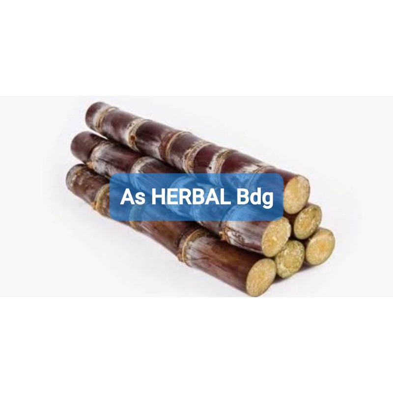 Jual Batang Tebu Merah per 1 Kg / tebu manis-az | Shopee Indonesia
