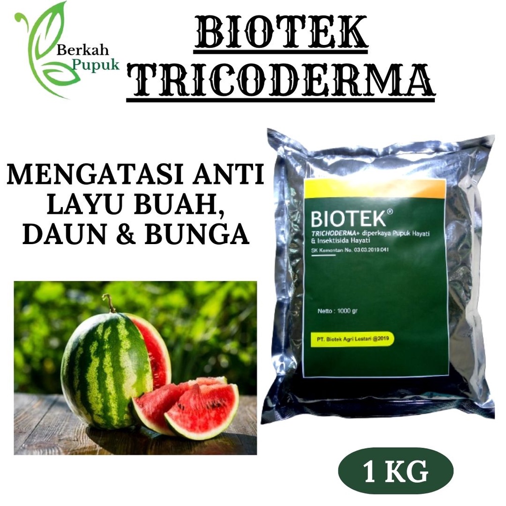 Jual Pupuk Hayati Biotek Trichoderma padat 1kg,pupuk anti busuk buah ...